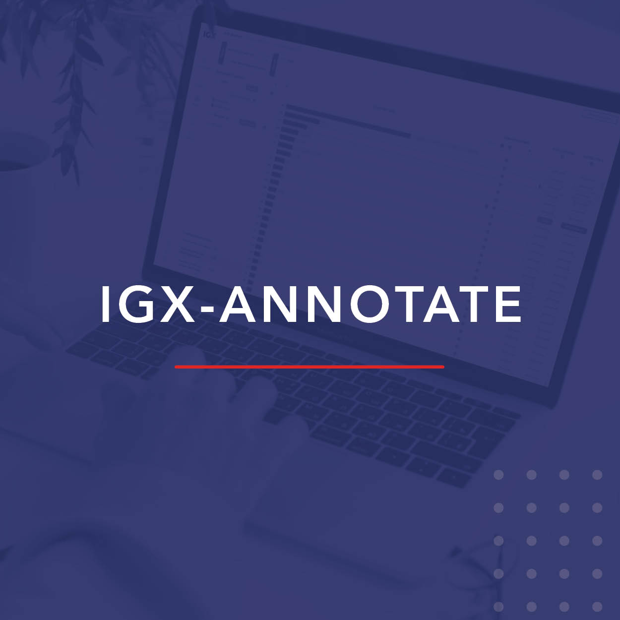 Accurate developability assessments of antibody candidates with the IGX ...